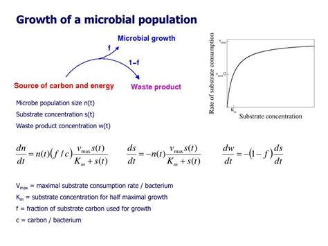 Ppt Modeling Stochastic Effects In Microbial Communities Insights Into Dynamics And Infection