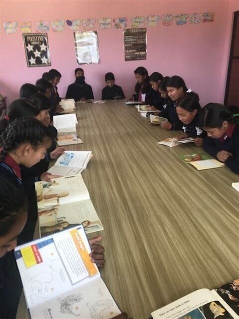 Member Spotlight Robin Handleman — Silver Spring Timebank