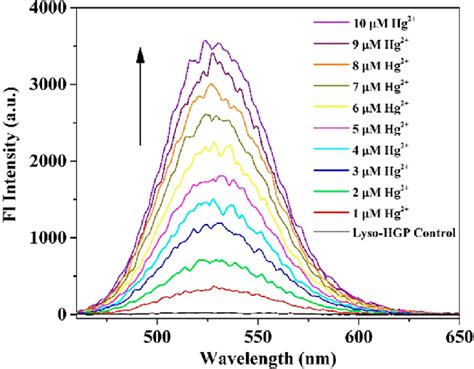 Fluorescence Spectrum Of Lyso Hgp 10 μm Upon Treatment With Hg 2 Download Scientific Diagram