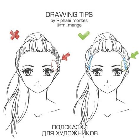 Pin by Argo Navis on Human anatomy Anatomía humana Drawing tips How to draw hair Drawings
