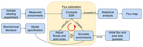 Photorespiration The Futile Cycle