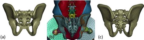 Figure 2 From Developing A Full Body Finite Element Model And Its Validation For Seating Comfort