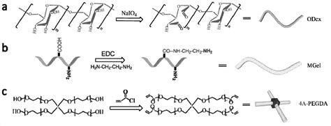 Preparation Method Of Injectable Double Cross Linked Hydrogel For Tissue Engineering Eureka