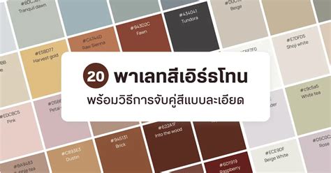 แจก 300 โค้ดสี Html คัดพาเลตมาให้แล้วจากดีไซน์เนอร์ Designil