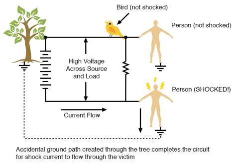 Shock Current Path Electrical Safety Electronics Textbook