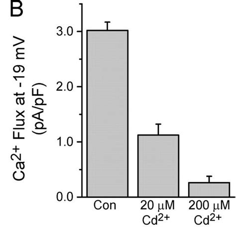 Creb Signal Strength Is A Steep Function Of Membrane Potential And