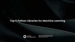 Top 5 Python Libraries For Machine Learning Metana