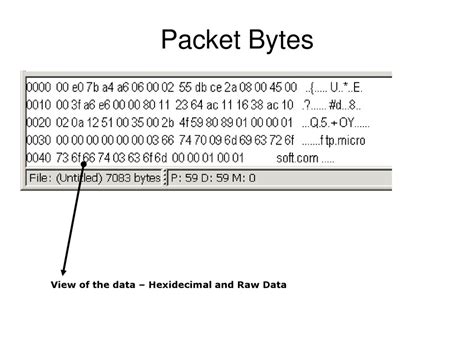 Introduction To Packet Sniffing Using Ethereal Ppt Download