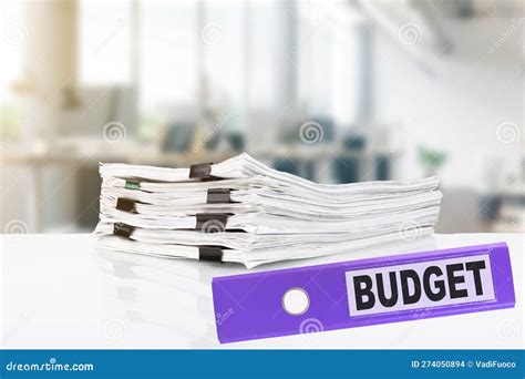 Budget Business Office With Office Folders And Stacks Of Papers On The