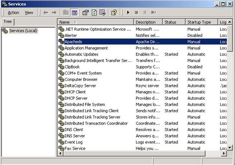 chapter 4 apacheds install