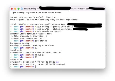 A Brief Introduction To Linux Zhuming Shi