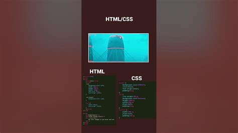 html css html5 coding software python fold unfold animation