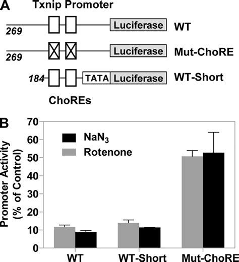 Repressed Txnip Promoter Activity In Cells Treated With Nan 3 Or