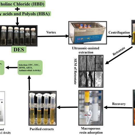 Optimization Of Extraction Process And Estimation Of Flavonoids From