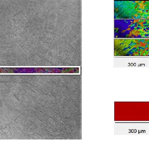 Sem Image And Ebsd On The Additive Portion In The Y Z Plane And The Download Scientific Diagram
