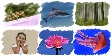 Organisms Definition