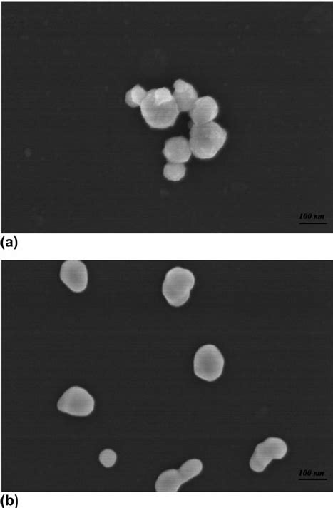 SEM Images Of A Ag SiO 2 And B Ag Nanoparticles Download Scientific Diagram