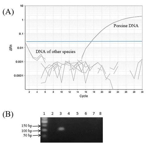 A Amplification Plot Showing The Specificity Of The Primer Set