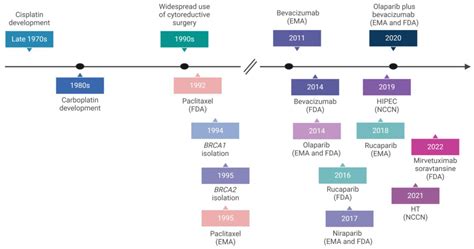Paradigm Shift A Comprehensive Review Of Ovarian Cancer Management In
