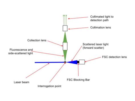 Flow Cytometry For Sorting Of Cells Pptx