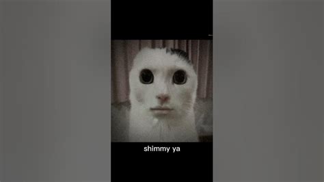 Shimmy shimmy ya - YouTube