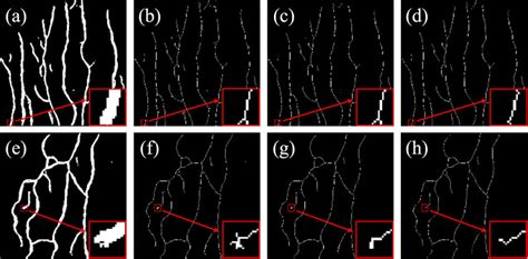 a and e cnf image from dataset i segmented by u net b and f