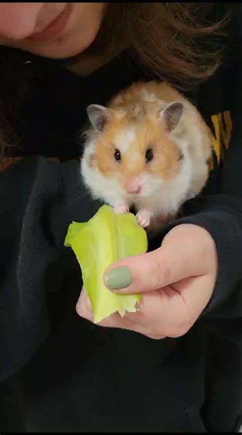 Yall Im Crying Shes So Cute R Lilgrabbies
