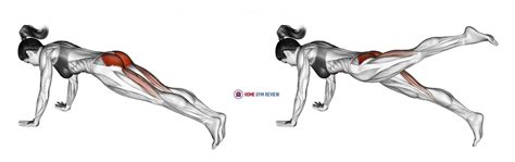 Hip Extension Stretch Home Gym Review