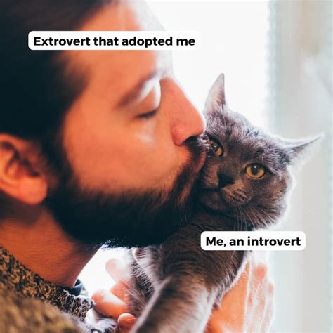 Page 2 Free And Customizable Cat Meme Templates Canva