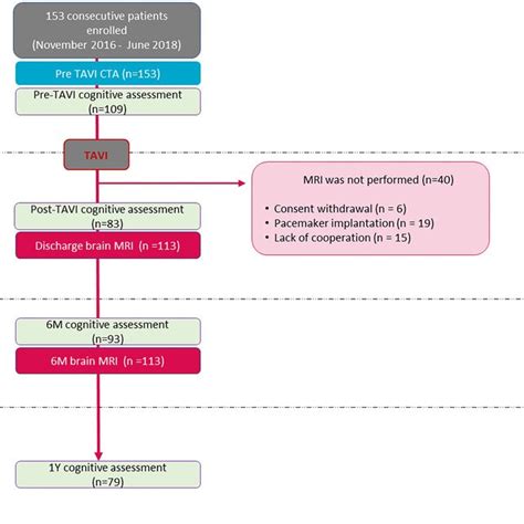 Neurocognitive Examination Results In The 79 Patients Based On Serial