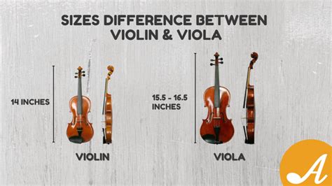 Violin Vs Viola How These Two Instruments Differ Arthaus Music School