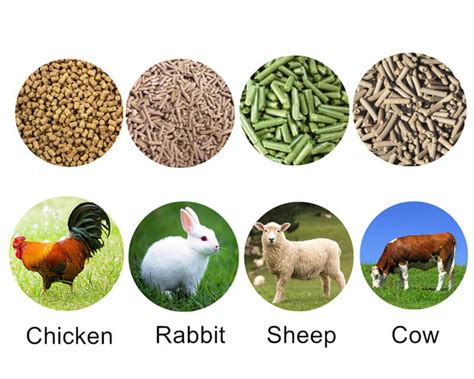 The Best Feed Pellet Size For Animalpoultrylivestock And Fish