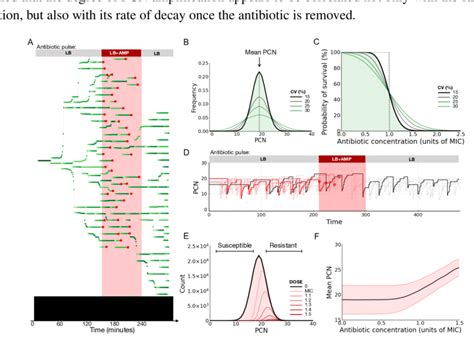 Stochastic Plasmid Dynamics Yield Heteroresistant Populations A