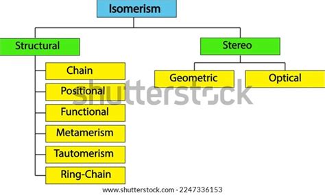 There Two Primary Types Isomerism Which Stock Vector Royalty Free 2247336153 Shutterstock