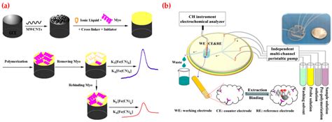 Molecularly Imprinted Polymer Based Sensors For Medical Applications