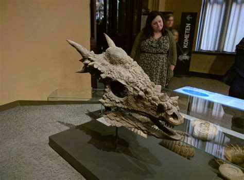 Stygimoloch Skull Photo I Took In Berlin Amazing To Think This Thing