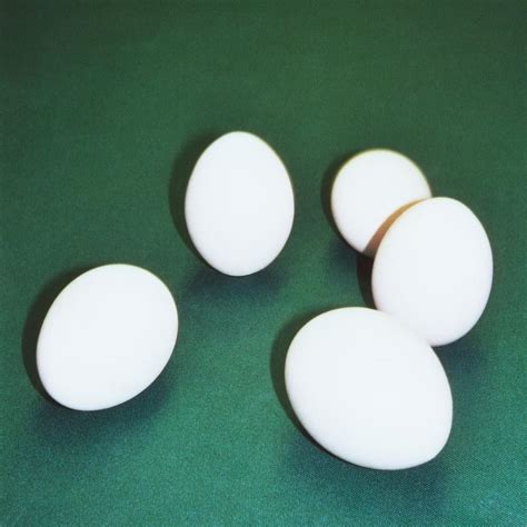 Dumbo Gets Mad Five Eggs Lyrics And Tracklist Genius