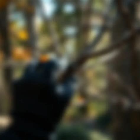 Optimal Timing For Pruning Trees A Comprehensive Guide