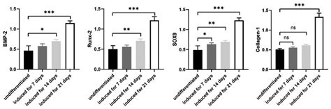 Expression Of Related Specific Genes In The Process Of Osteogenic And Download Scientific