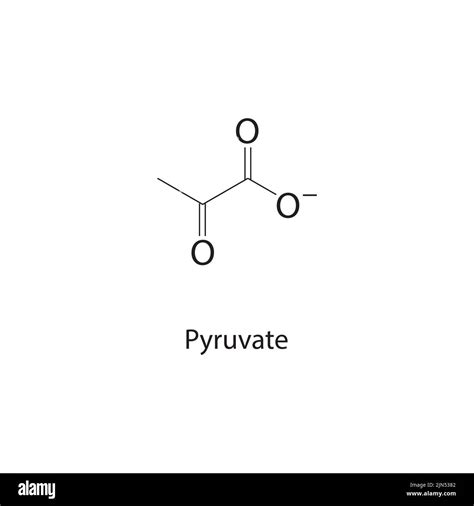Pyruvate Structure Formula
