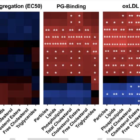 Relationships Between Ldl Low Density Lipoprotein Aggregation