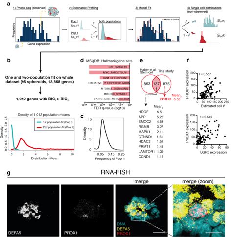 Single Cell Deconvolution Of Crc Spheroid Pheno Seq Data By Maximum