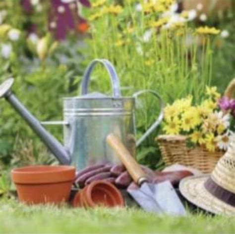 🌿 মিশ্র জৈব সার গাছের পূর্ণ পুষ্টির একমাত্র ভরসা 🌿 গাছ কি বড় হচ্ছে না পাতা হলুদ হয়ে যাচ্ছে