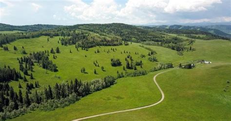 Environmental Group Concerned About Native Grasslands In Southern Alberta Globalnewsca