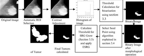 Flow Chart Of Proposed Tumor Detection Algorithm Download Scientific Diagram