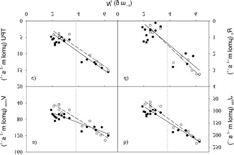 Relationships Between Photosynthesis Model Parameters And Leaf Nitrogen Download Scientific
