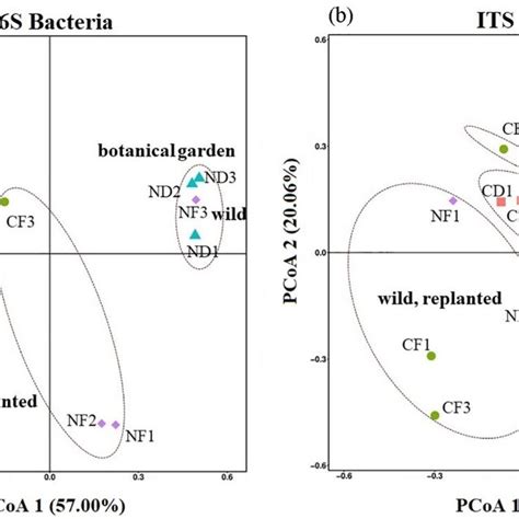 Principal Coordinate Analysis Pcoa Of Bacteria A And Fungal B