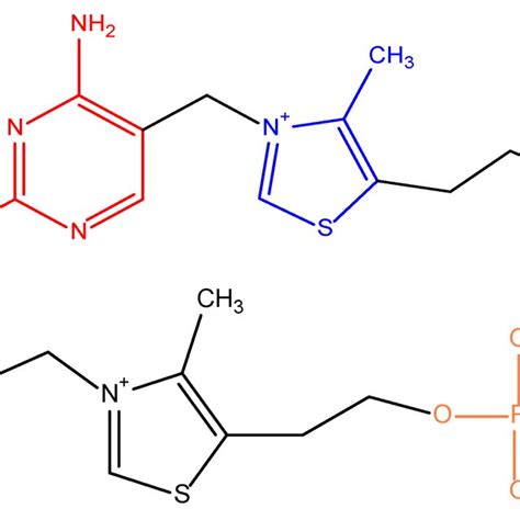 Structure Of Thiamine Vitamin B1 Upper And Thiamine Pyrophosphate Download Scientific