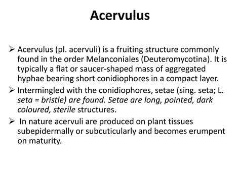 Asexual Fruiting Bodies Of Fungi Pptx
