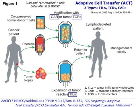 Avid Bioservices Inc Cdmo Pphmmskccjedd Wolchok Lab Collab 1